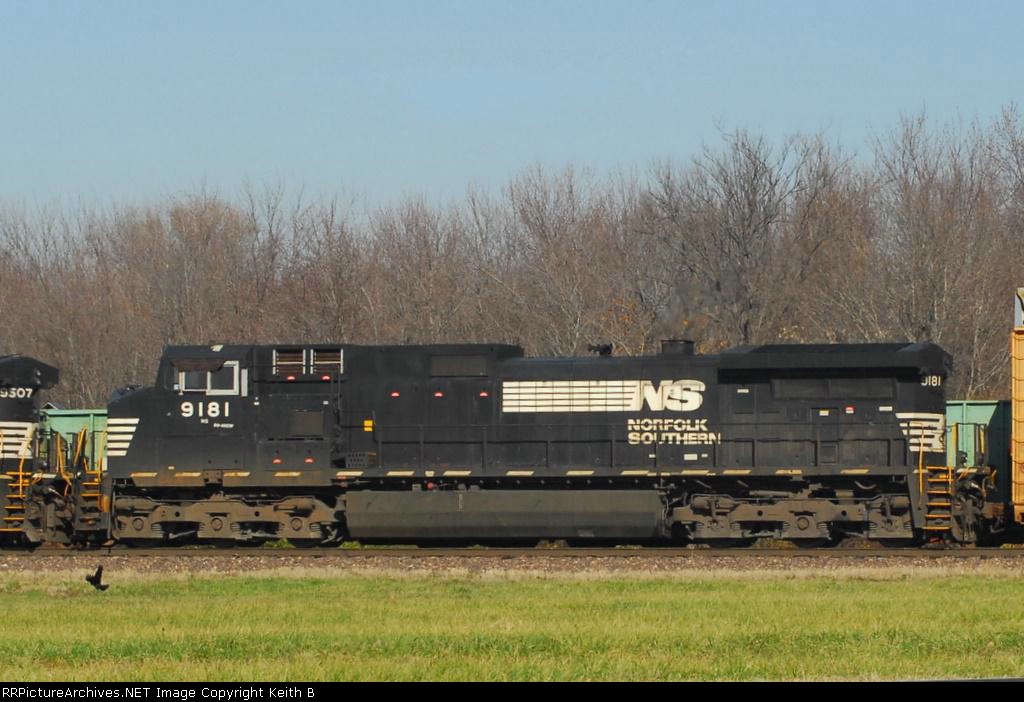 NS 9181